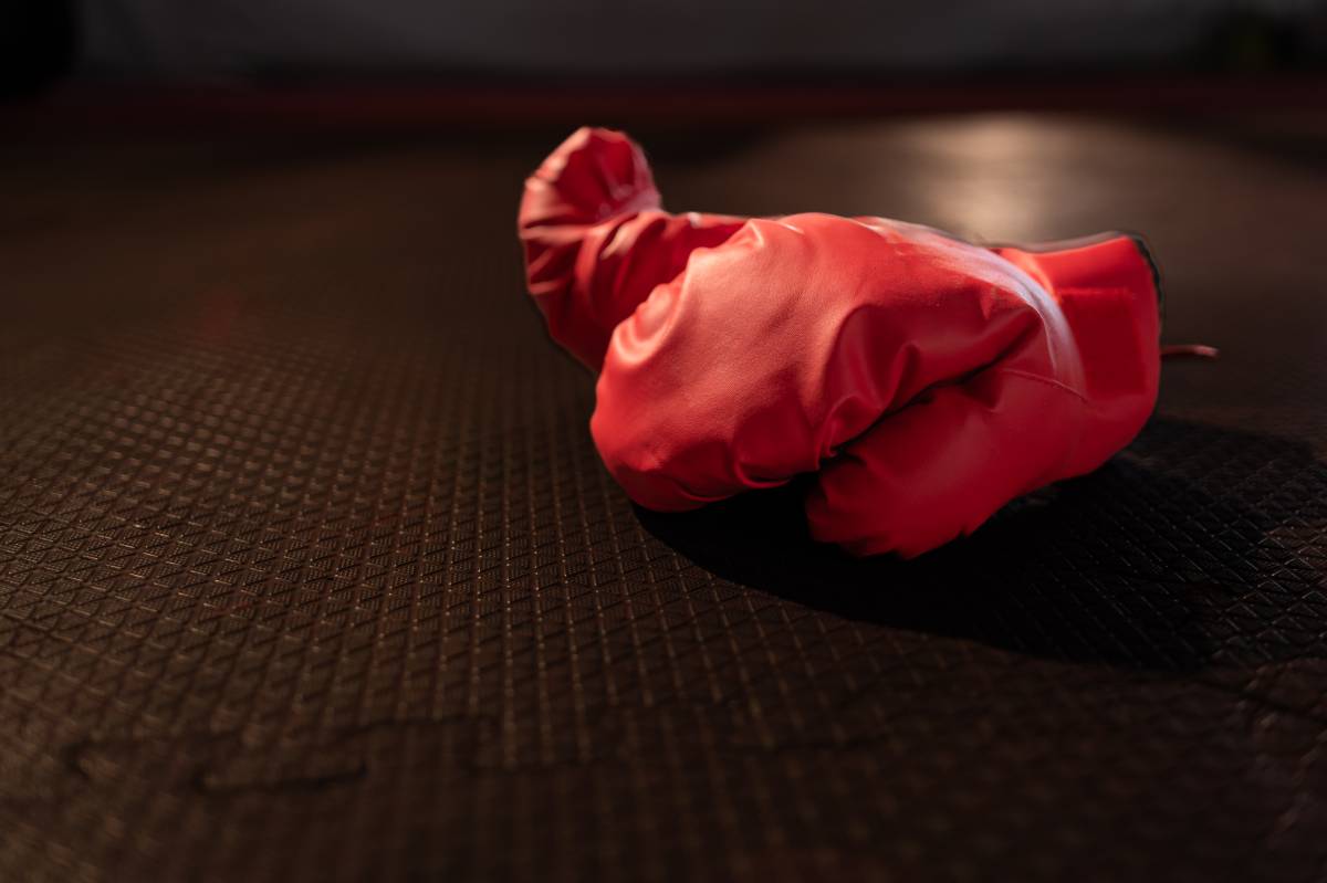 Fabian's life — Rupprecht Tina: forecast and bet on boxing — January 13 ...