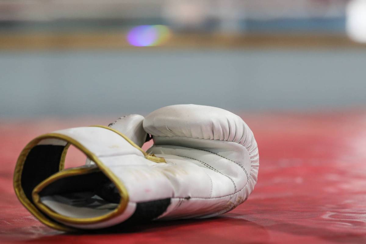 Drikus Du Plessis – Sean Strickland: free forecast and UFC fight bet ...